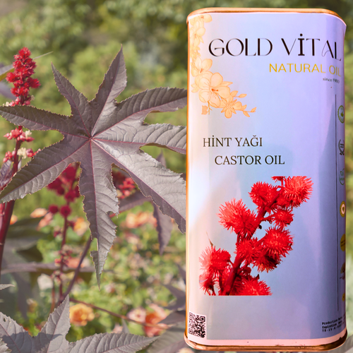 Castor Oil ~ Castor Oil 1 liter and 5 liter | GOLD VİTAL