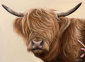 TUTORIALS | emilymeicross