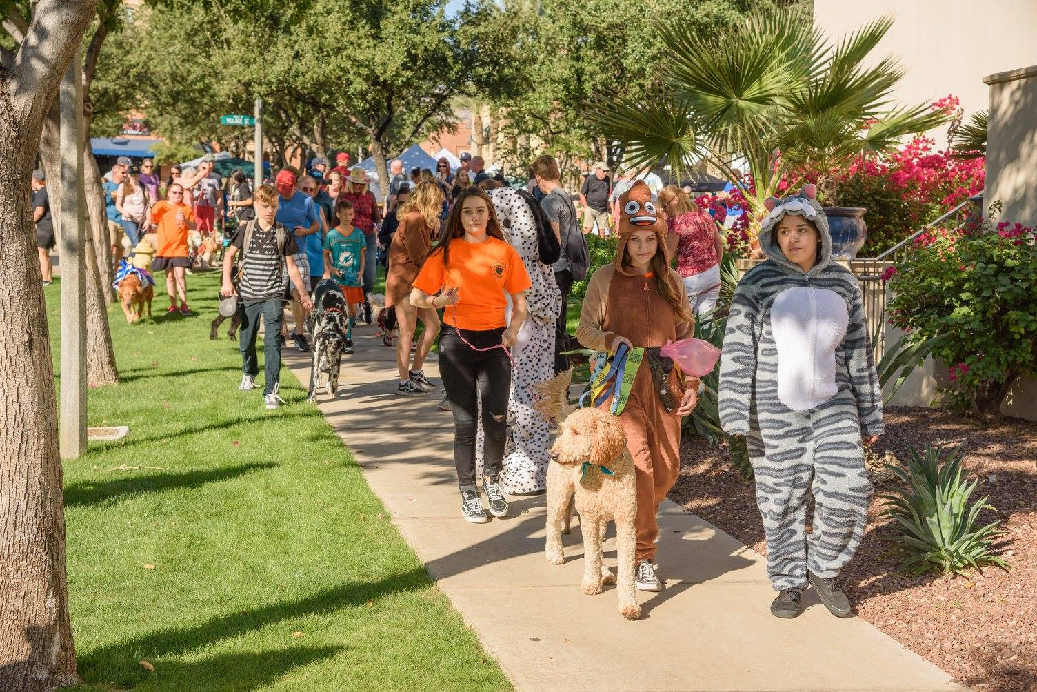 Events | Community Paws