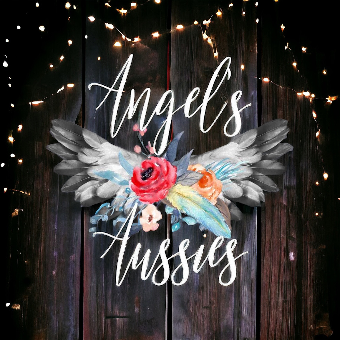 Available Puppies | Angel's Aussies
