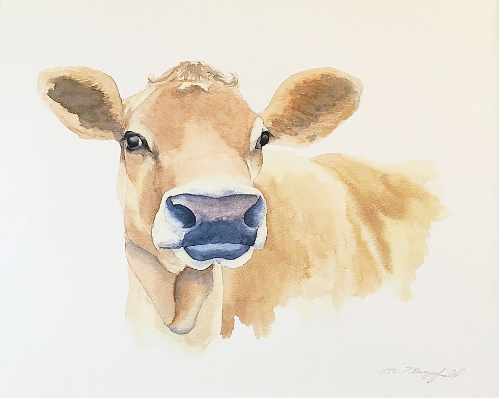 Jess Jersey Cow (P) | TraceyBengeyfieldArt