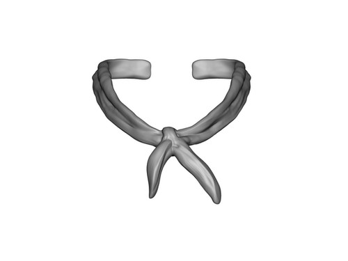 Backwards Neck Bandana | FigurativelyObsessed