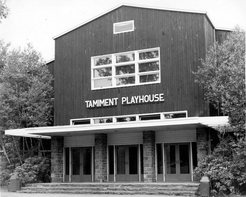 TAMIMENT HISTORY | Tamimenthouse