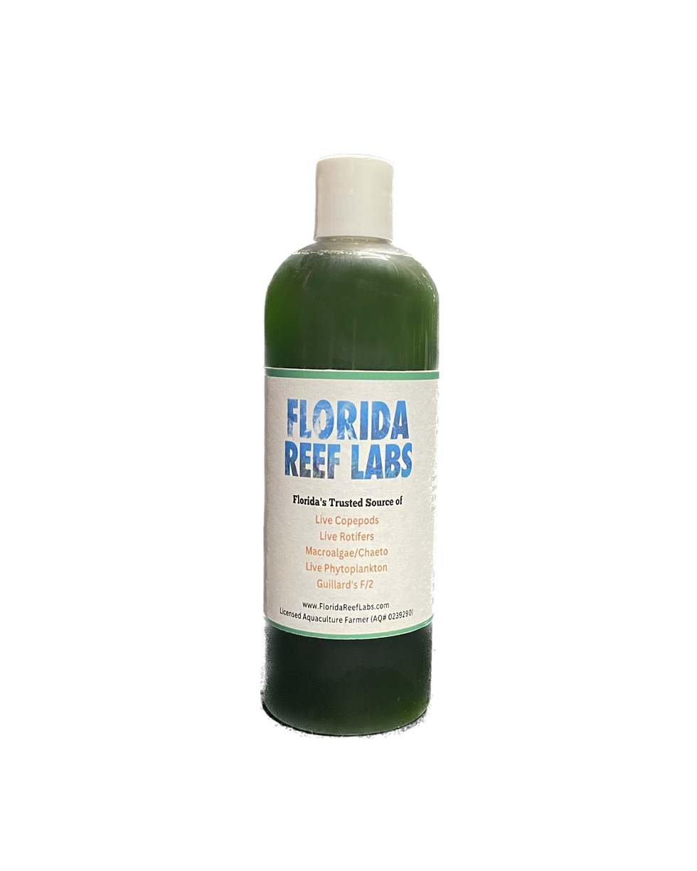 Reef Tank Phytoplankton & Copepod Combo Packs for sale | Florida Reef Labs