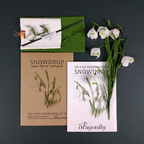 Snowdrop Craft Kit | paperbydragonfly