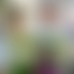 GIS for Resilience Research Lab | Heng Cai