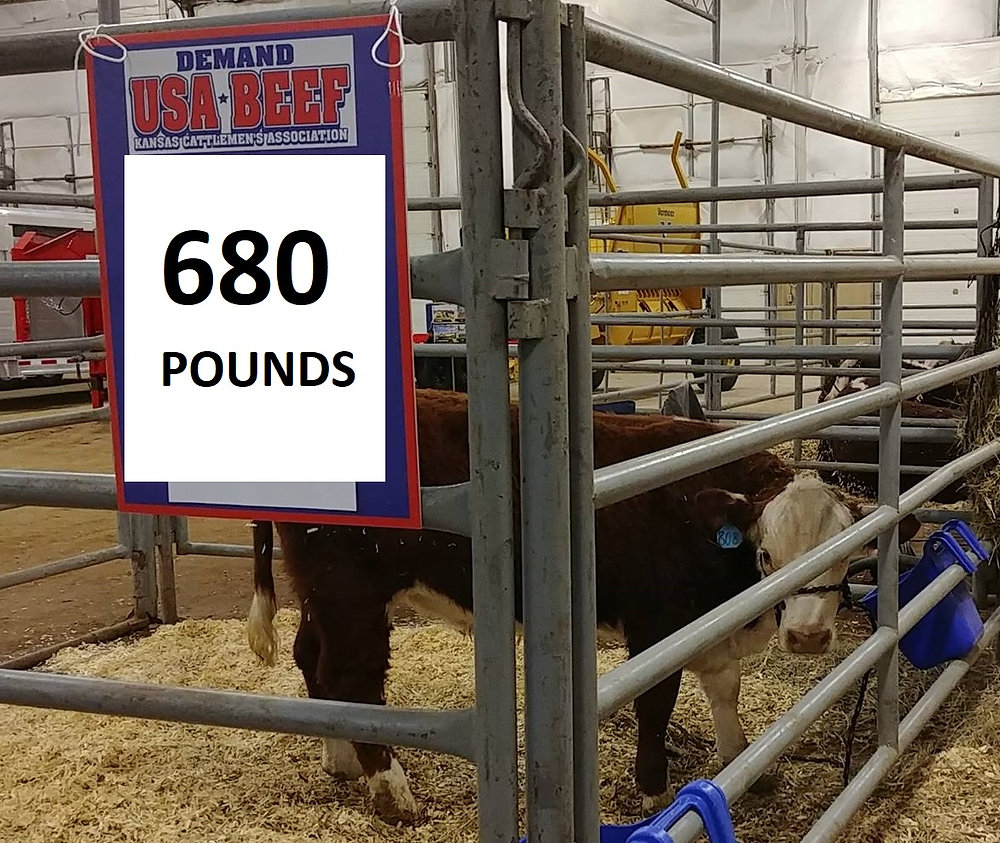 Topeka Farm Show Guess the Weight