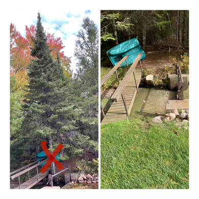 Northwoods Tree Service LLC | Tree Removal Services | St. Germain