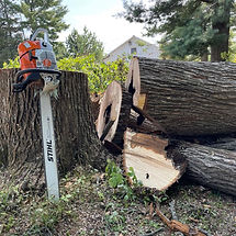 Northwoods Tree Service LLC | Tree Removal Services | St. Germain