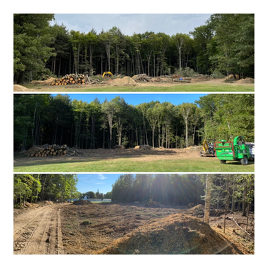 Northwoods Tree Service LLC | Tree Removal Services | St. Germain