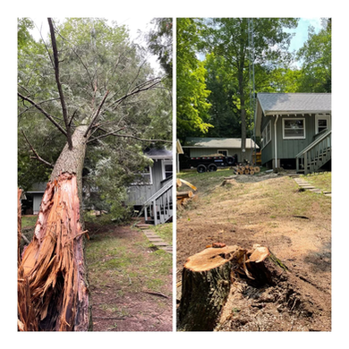 Northwoods Tree Service LLC | Tree Removal Services | St. Germain