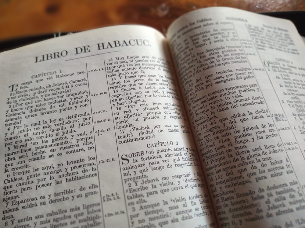 Meditaciones sobre el libro de Habacuc