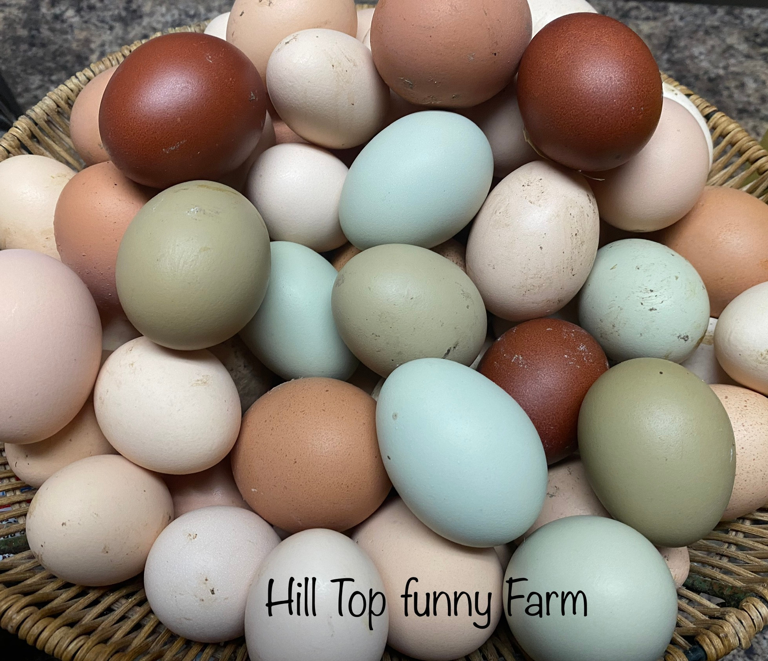Heritage Barn Mix | Hilltophobbyfarm