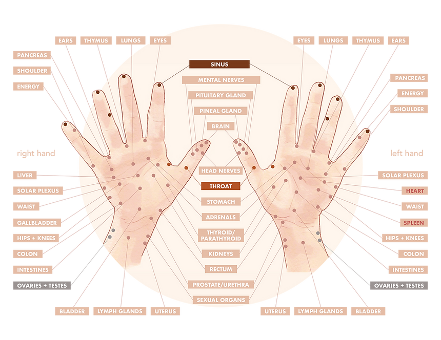 hand map | the alchemical path