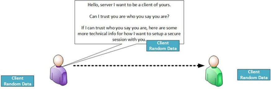Encrypted Traffic Analysis