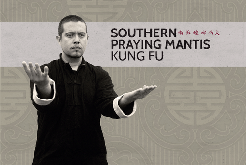 Southern Mantis Master's Bundle | Rattan Ring Training