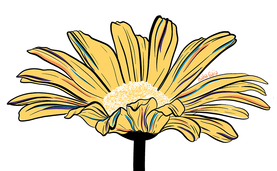 Baba Gaia Artist: Nature-Inspired Murals, Graphic Design, and Exclusive ...