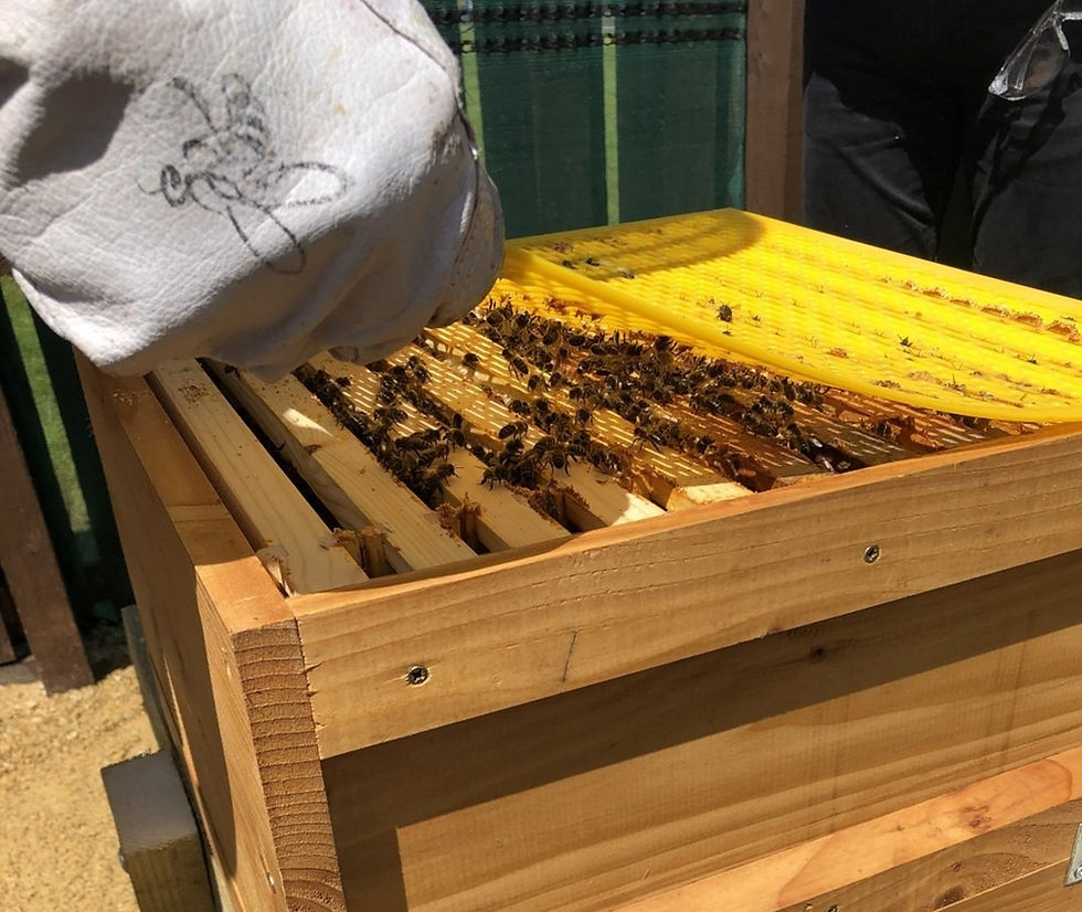 5 reasons to love Stryker in Limerick, Ireland