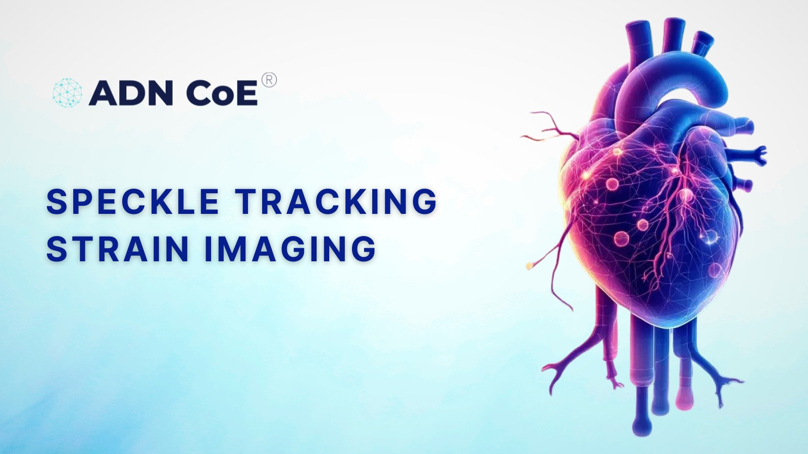 Speckle Tracking Strain Imaging | ADN CoE
