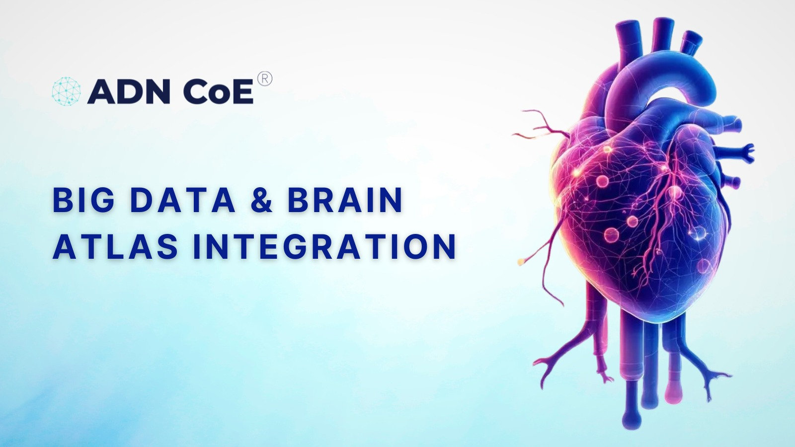 Big Data & Brain Atlas Integration | ADN CoE