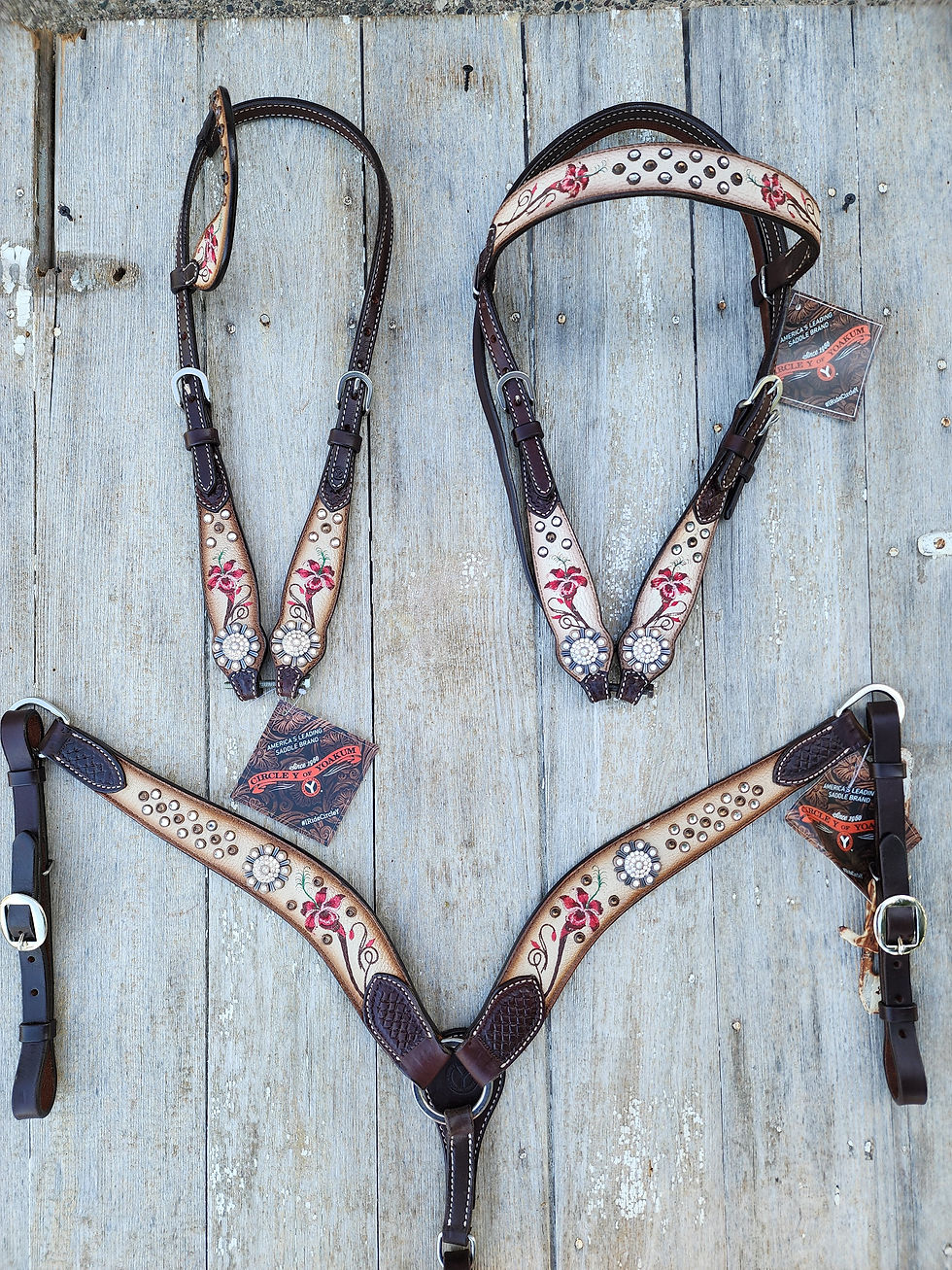Circle Y Fire Lily Tack Set | RS Saddlery