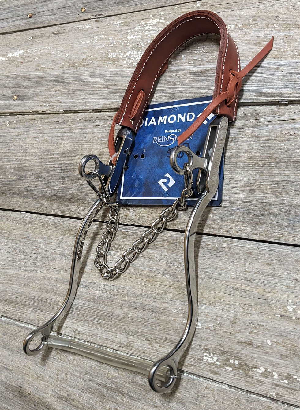 Diamond R Mechanical Hackamore- Leather | RS Saddlery