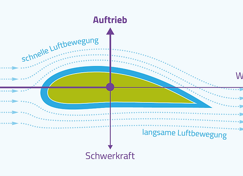 Wie fliegen Flugzeuge ? | My Site