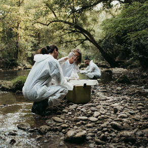 Smart Material Company | Puraffinity