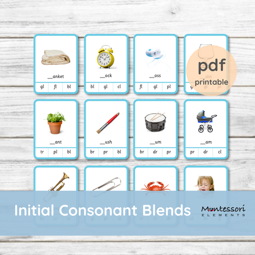 Montessori Phonics - Blue Scheme | Montessori Printables by Montessori ...