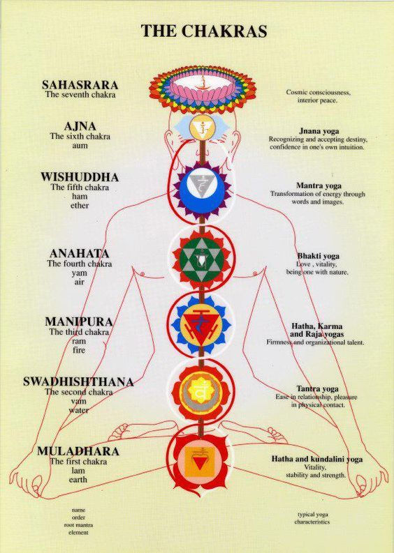 The Root Chakra