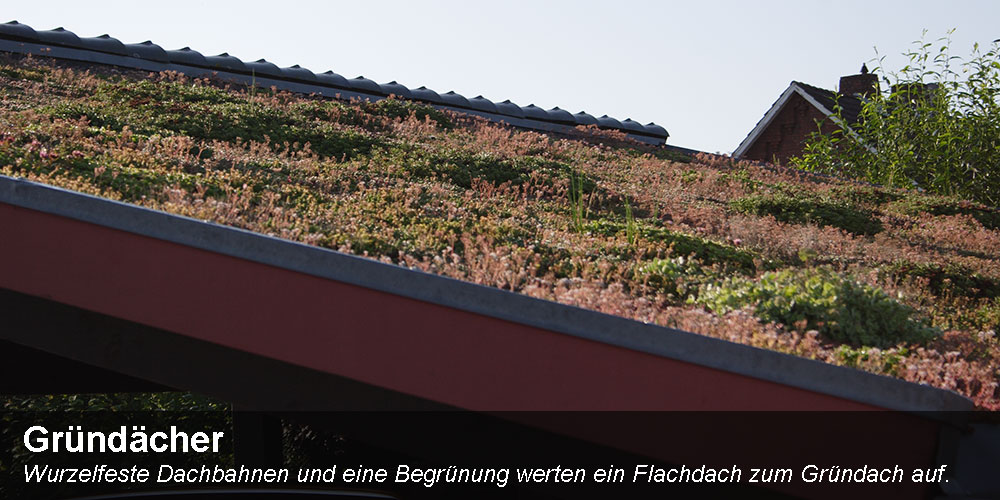 Dachdeckerei Kühn - Horneburg