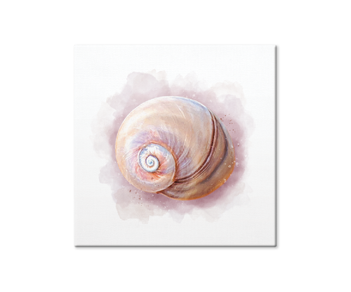 Sea Snail, Wall Décor, Canvas Wrap Print | Core Creative Soul