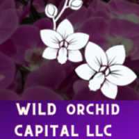 Join "Wild Orchid Capital" on the Spaces by Wix App
