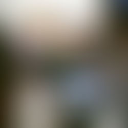 Miami Living Magazine | Arts & Culture