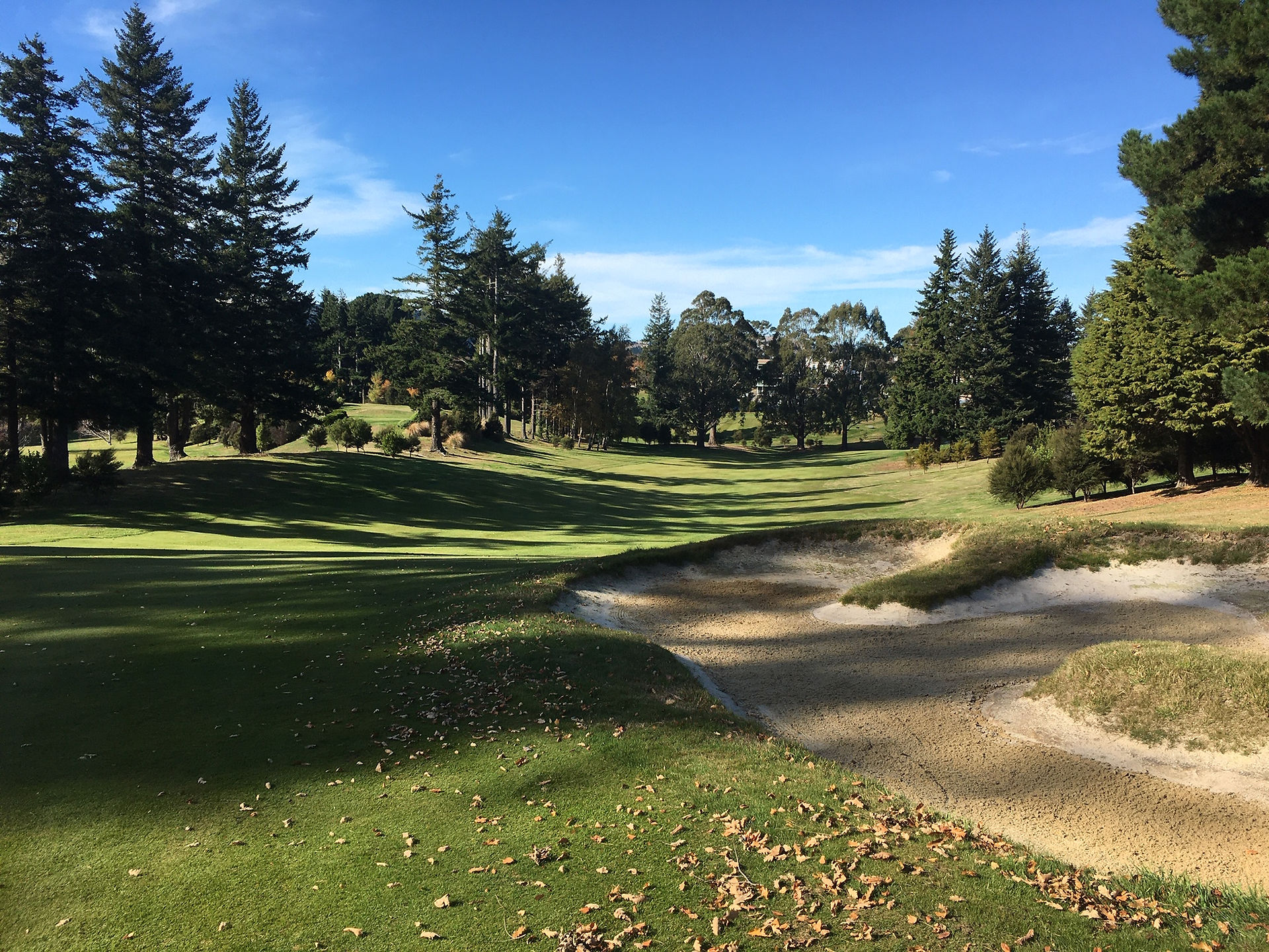 Waitahuna Two Four | Mysite