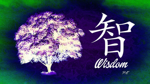 Wisdom Sign | posbusdesignsartinc