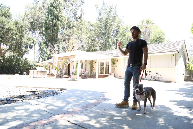 The Ten Commandments Of Dog Training And Ownership (Do!)