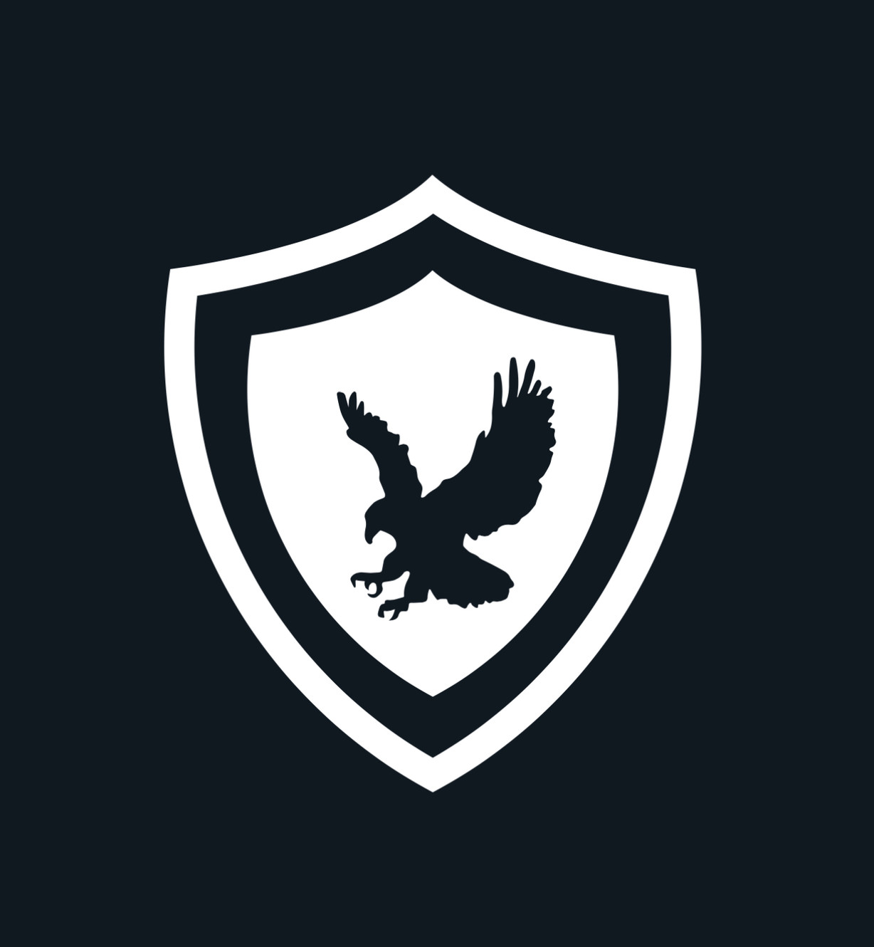 Raw Security | Security services