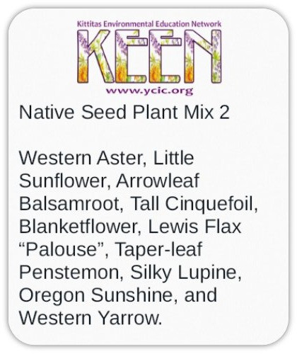 KEEN Native Wildflower Seed Plant Mix 2 | KEEN