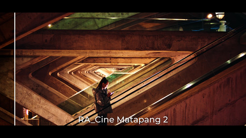 Ryan Audencial Cinematic Standard LUT Pack | Ryan Audencial Films