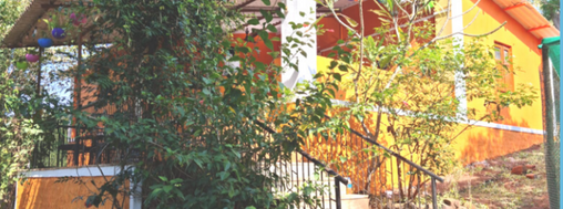 PACKAGES | Savli Farms