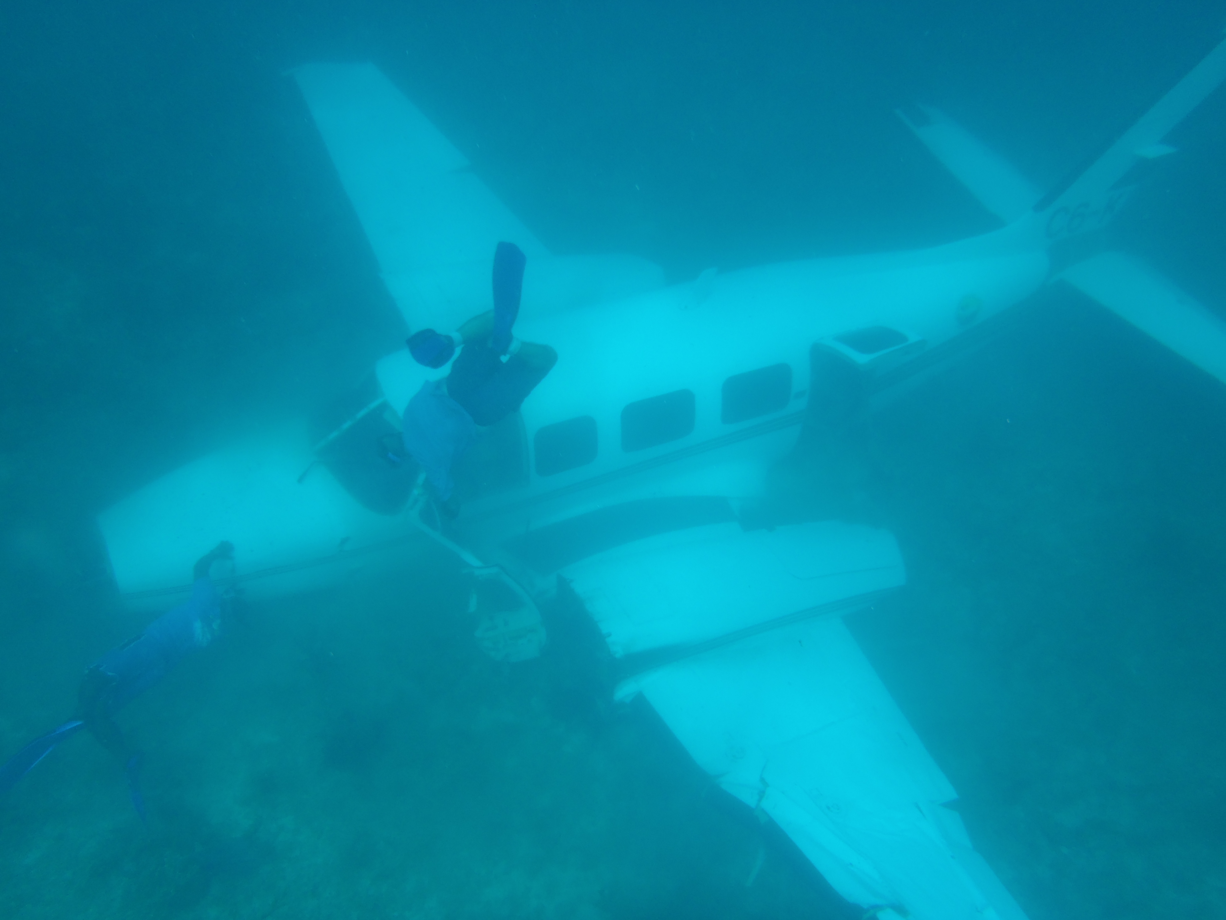 Accident Database | AAIA