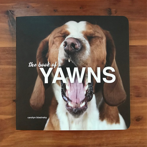 The Book of Yawns | SweetHarvestDesigns