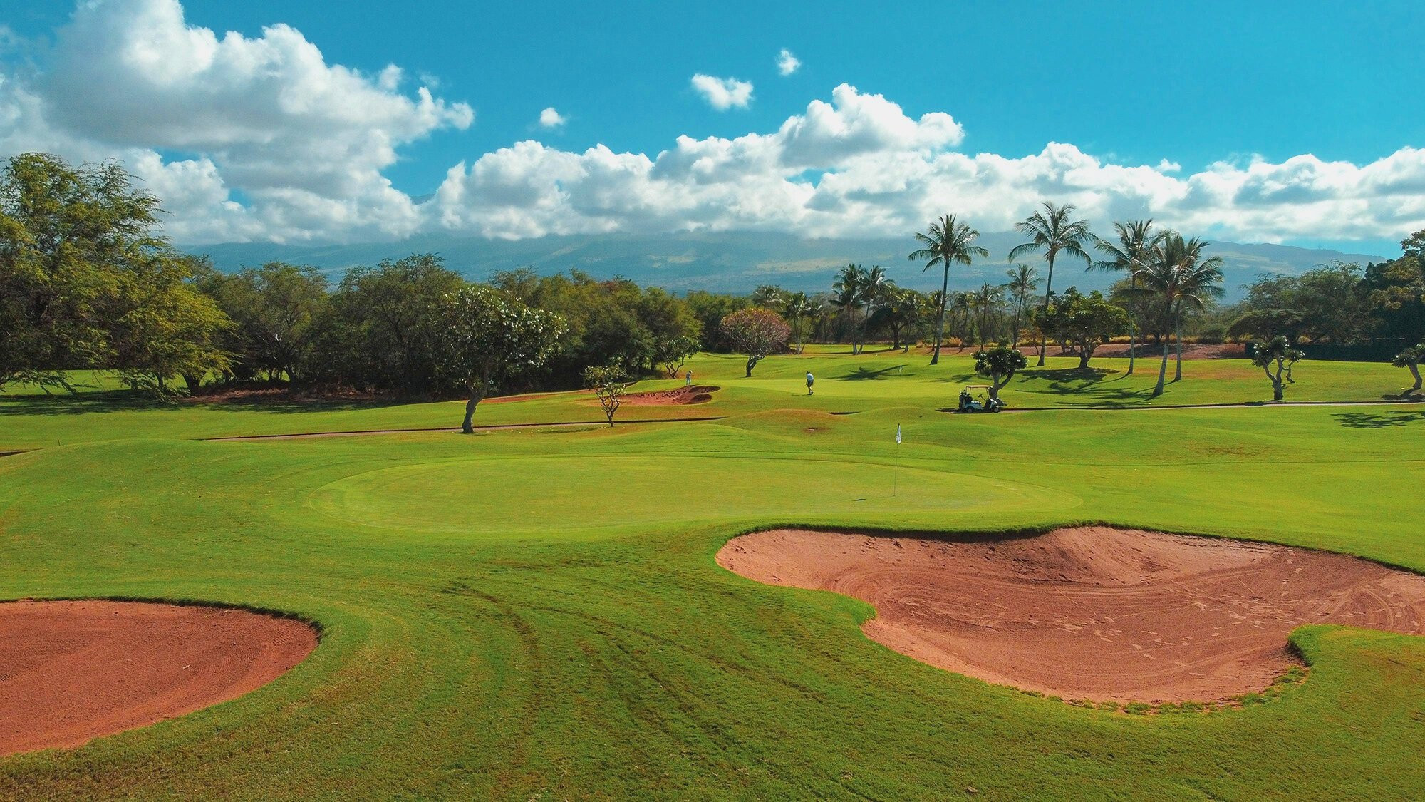 KIHEI MAUI NUI GOLF CLUB | Maui Golf Rentals Express Delivery 808-515 ...