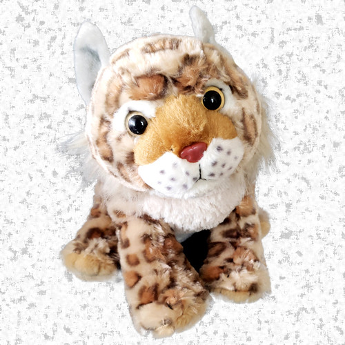 Bobby - Bobcat | Nature of Wildworks