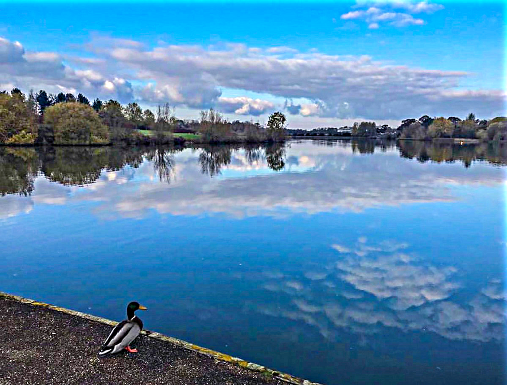 CALDECOTTE LAKE: YOUR CHOICE OUTDOOR DINING SPOT