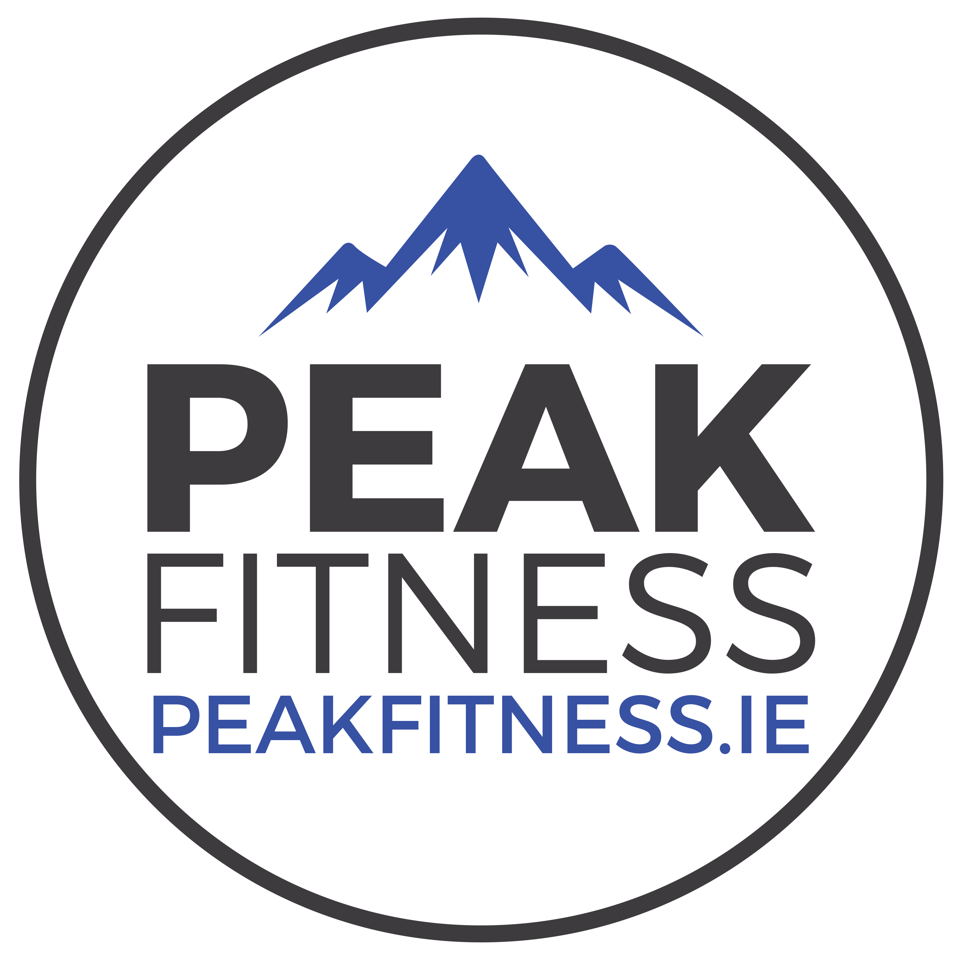 Peak Fitness Logo Peak Performance Gym Brand Design | Cole AD
