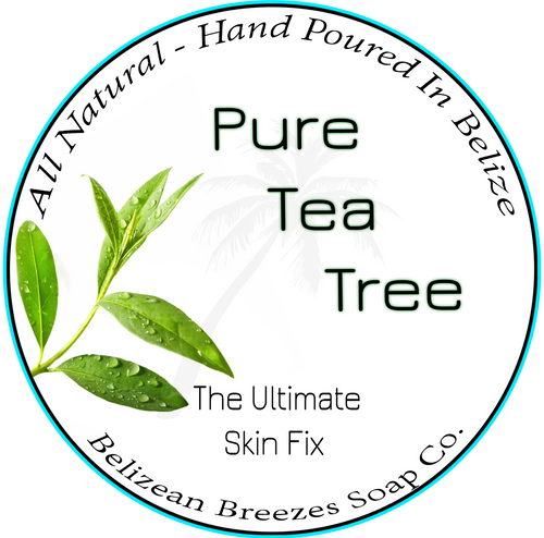 Tea Tree-Large Bar- BODY SOAP BAR | Belizean Breezes
