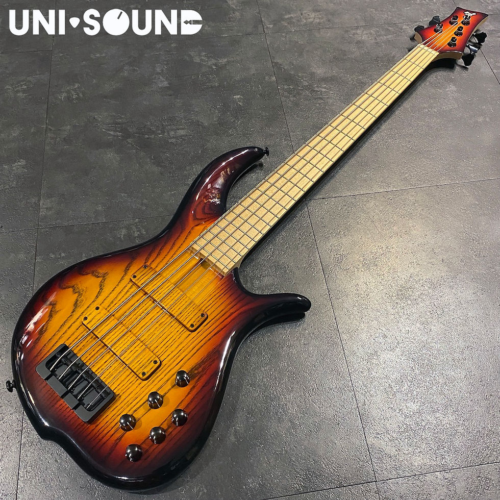 F-Bass BN5 - Sunburst- USED | unisound