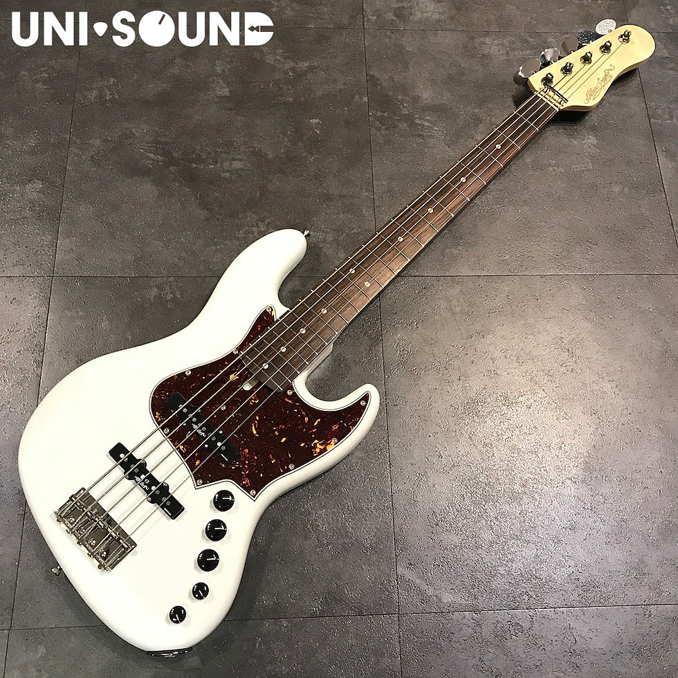 Alleva Coppolo LG5 Classic | unisound